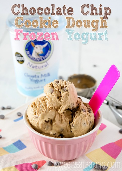 Chocolate Chip Cookie Dough Frozen Yogurt (Fro-Yo) - Sweet 2 Eat Baking